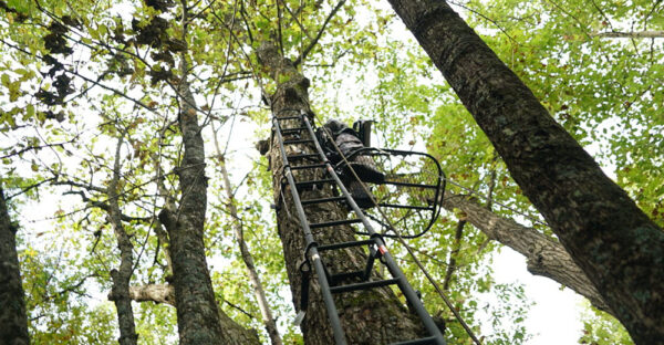 21 Hunting Safety Tips That Every Hunter Should Know - Kalkal