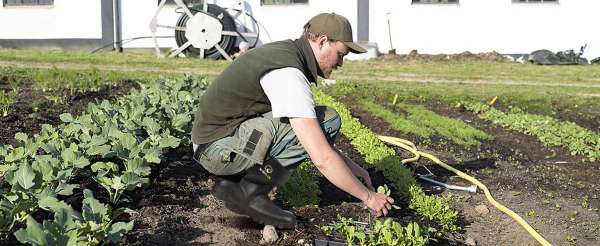 Choosing The Perfect Farmer Wear - A Detailed Guide - Kalkal