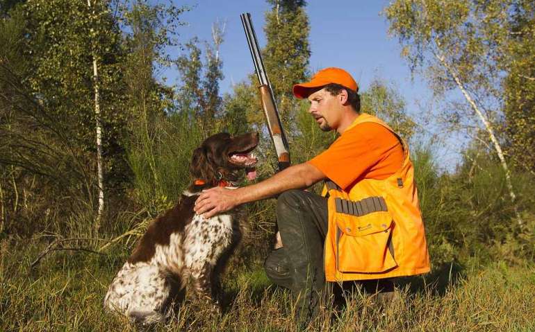 Why Do Hunters Wear Orange: Hunting Safety Explained - Kalkal