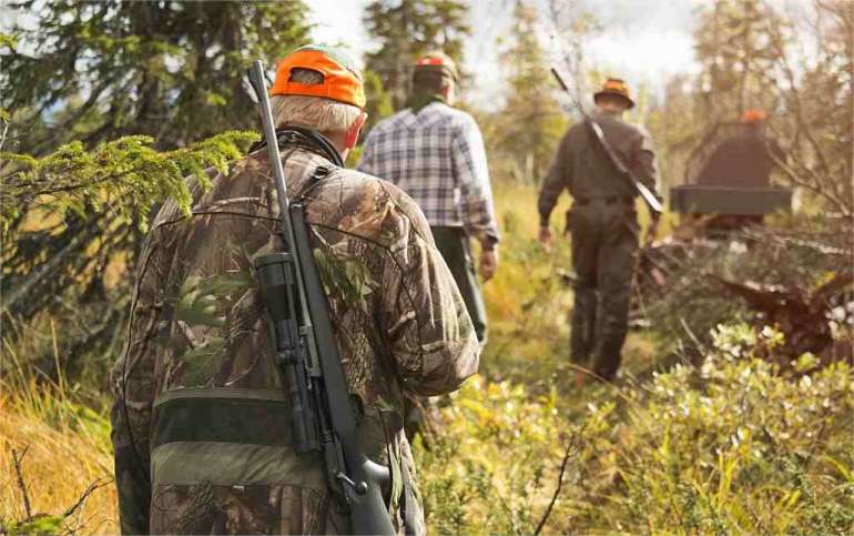 What Is California Big Game Draw? How Does It Work? - Kalkal
