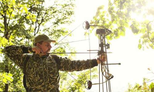 5 Best Recurve Bow That Worth Your Shots - Kalkal