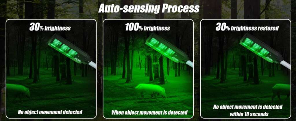 Solar Green Hog Light For Hunting | Hog Feeder Light - Kalkal