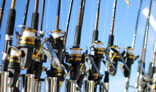 What Size Reel Is Best For Walleye Fishing? - Kalkal