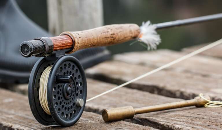 25 Proven Ways To Get Free Fishing Stuff - Kalkal