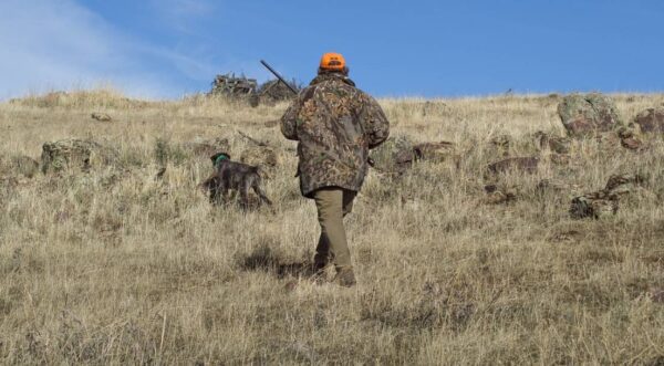 20 Best Hunting Shows To Watch For Valuable Lessons - Kalkal