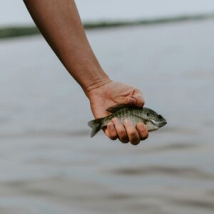 20 Incredible Fishing TV Shows For Anglers To Learn - Kalkal